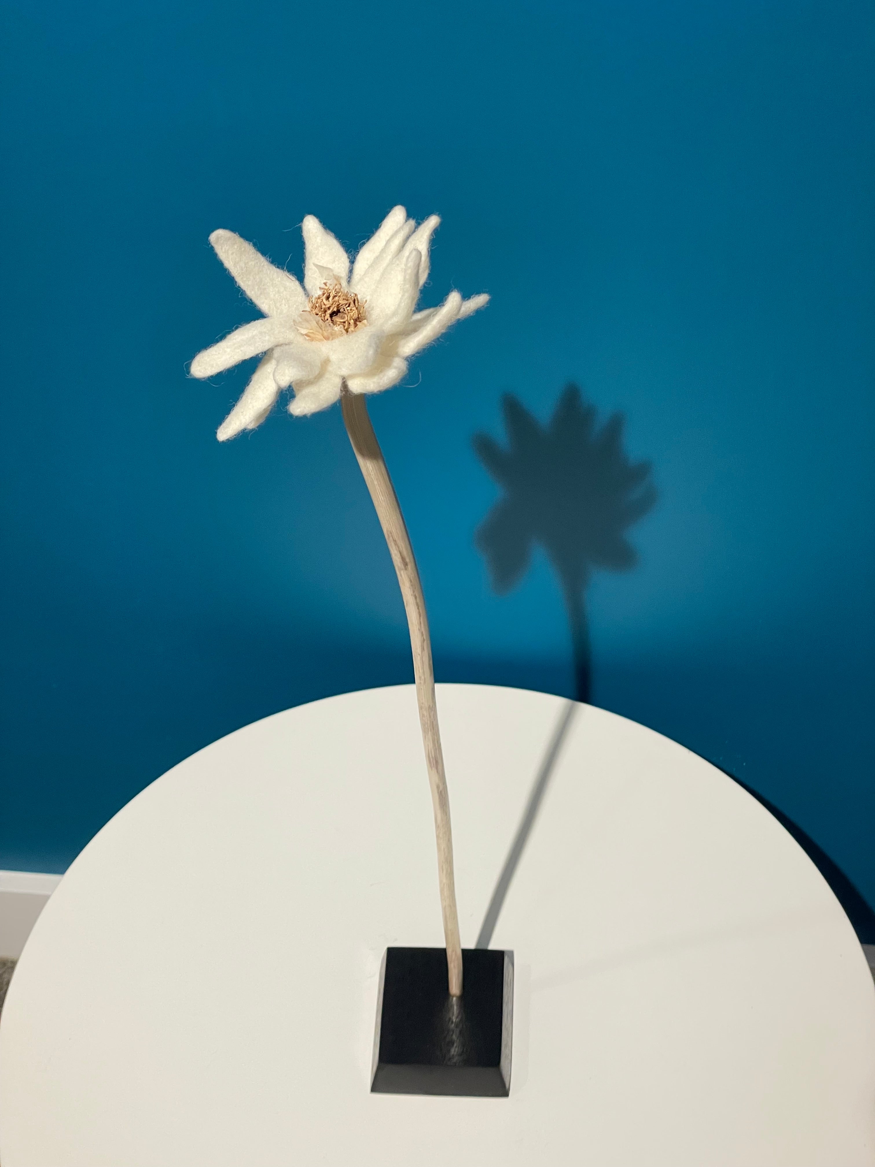 KUKKA #14 (SINGLE STEM) – The Prow Gallery