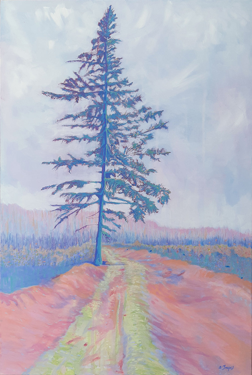 Solitude – The Prow Gallery