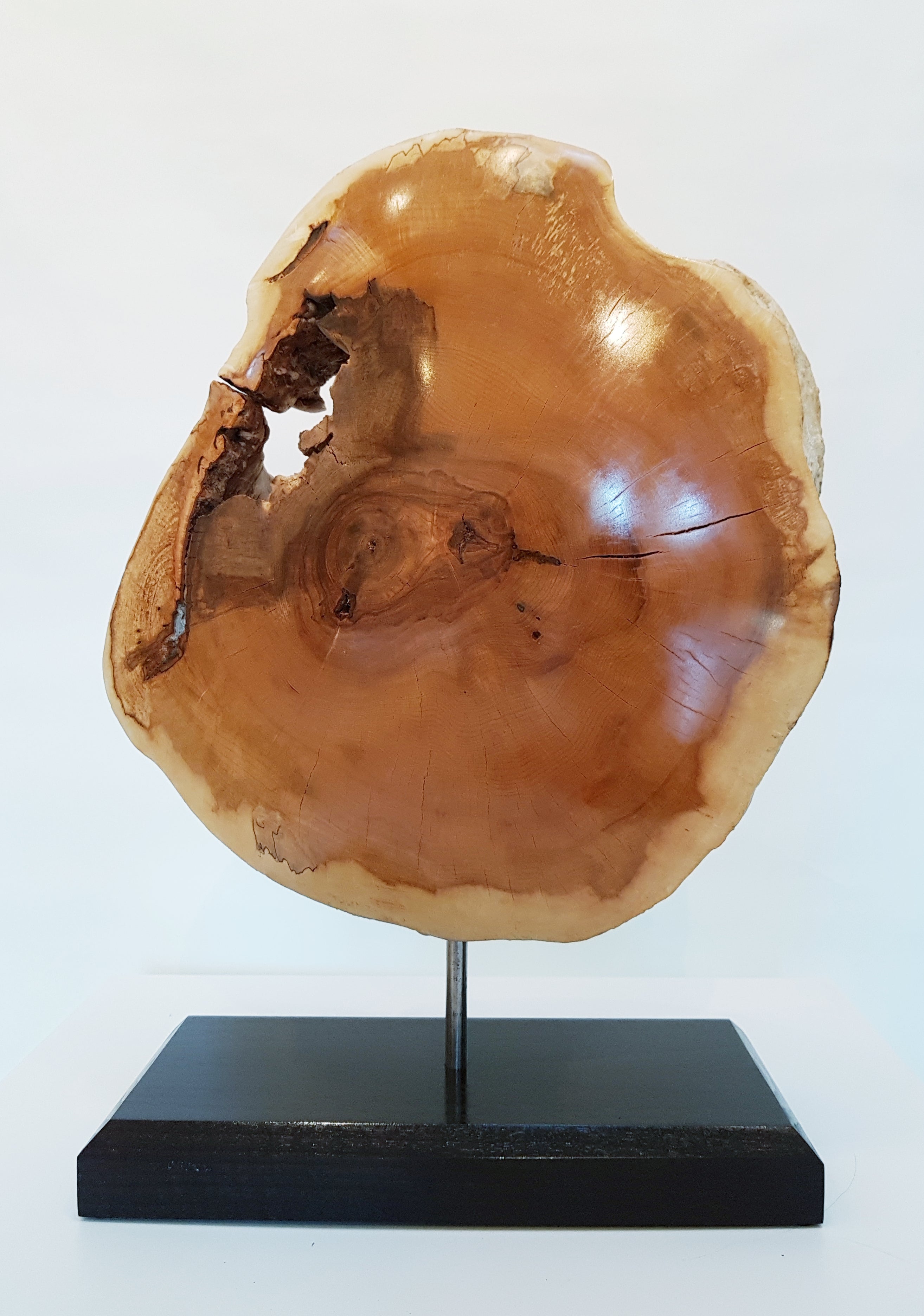 Embrace – The Prow Gallery