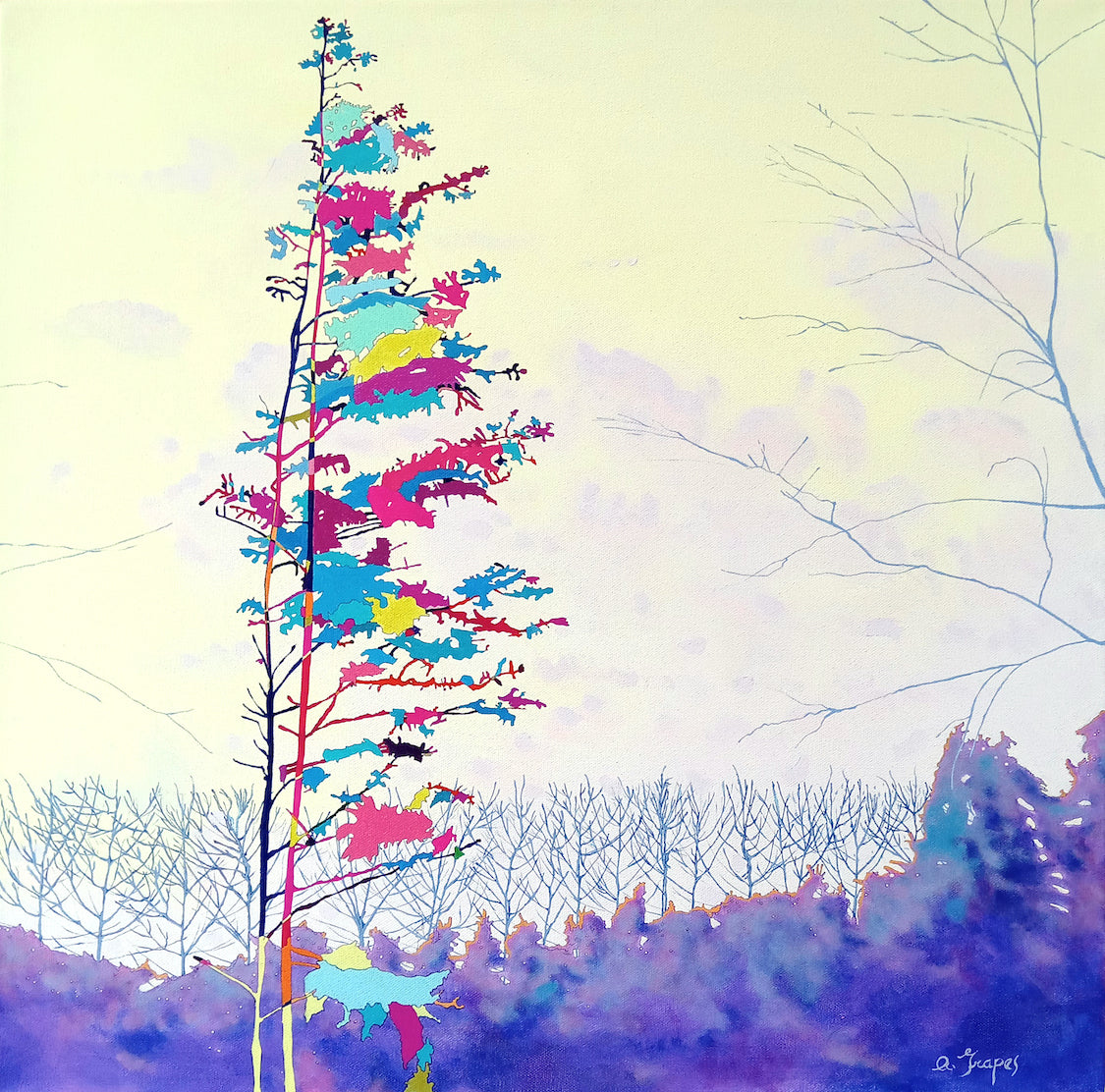 Artists - The Prow Gallery