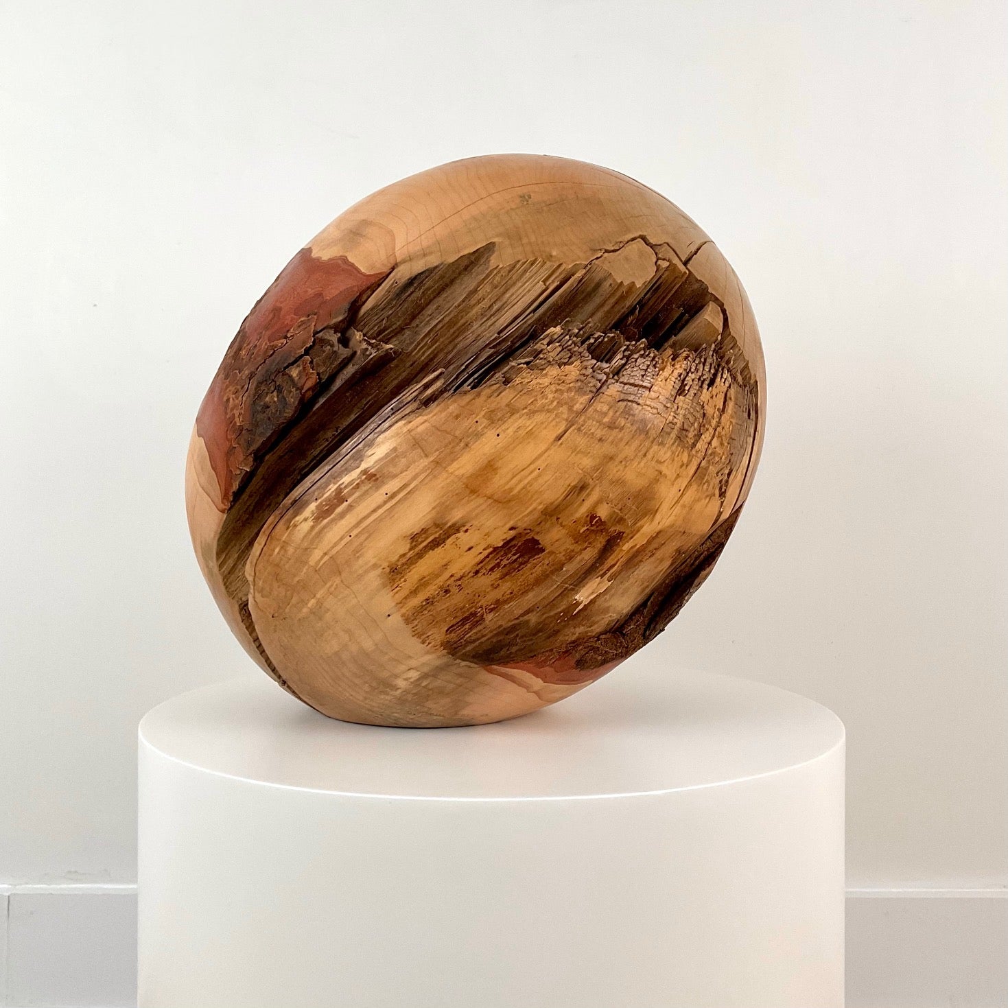 Maple – The Prow Gallery