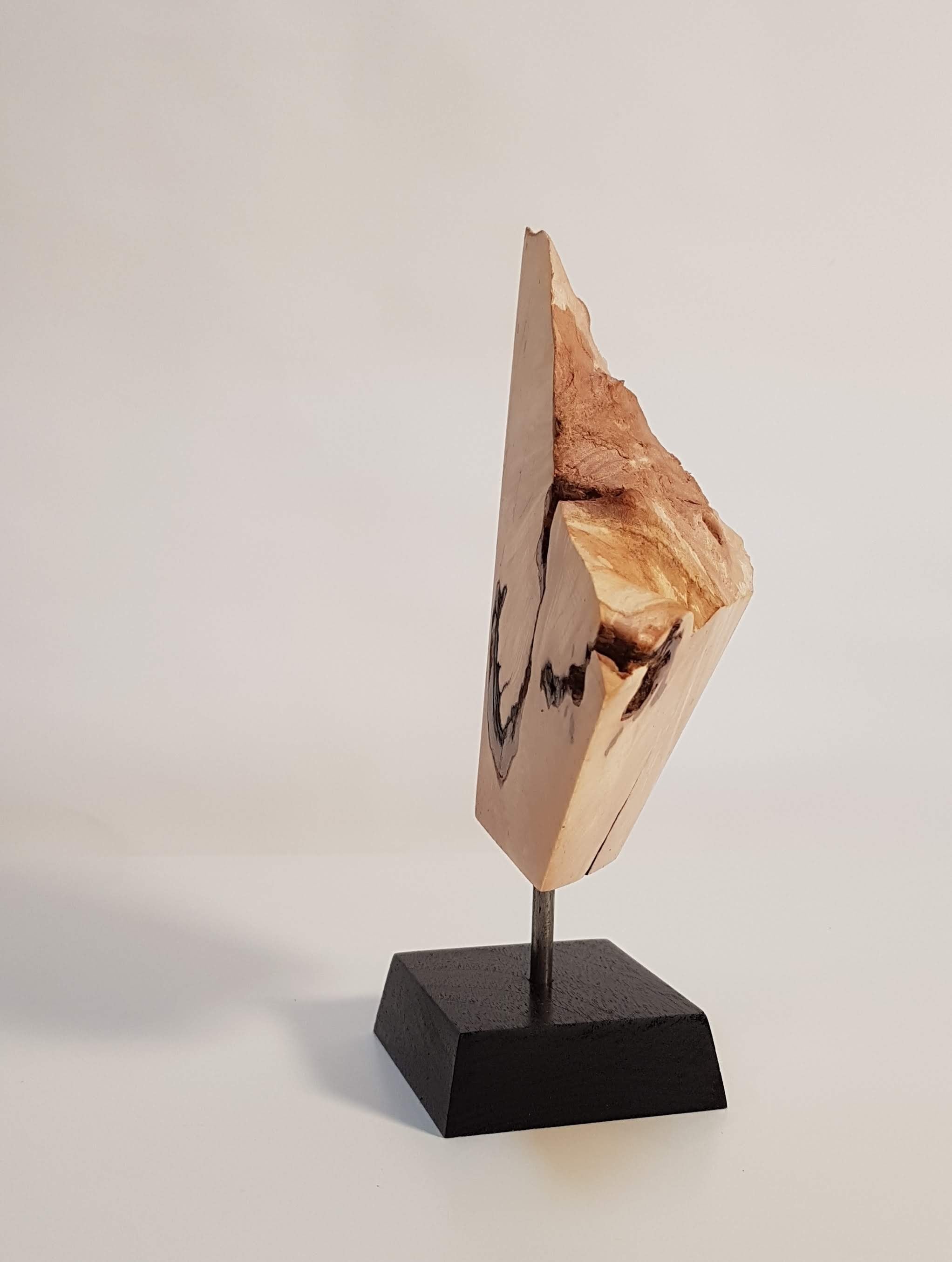 485 – The Prow Gallery