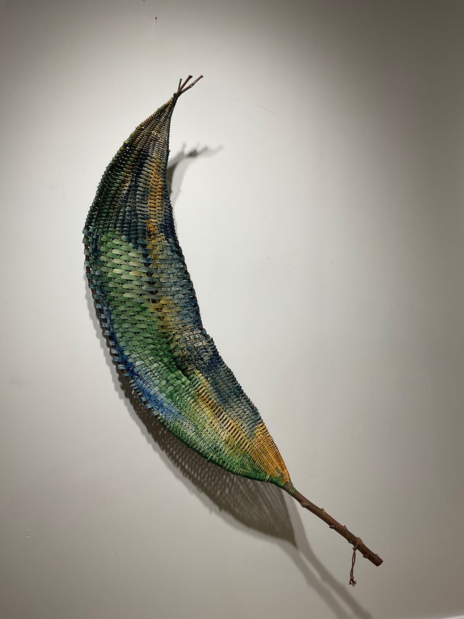 Pod Shell XV – The Prow Gallery