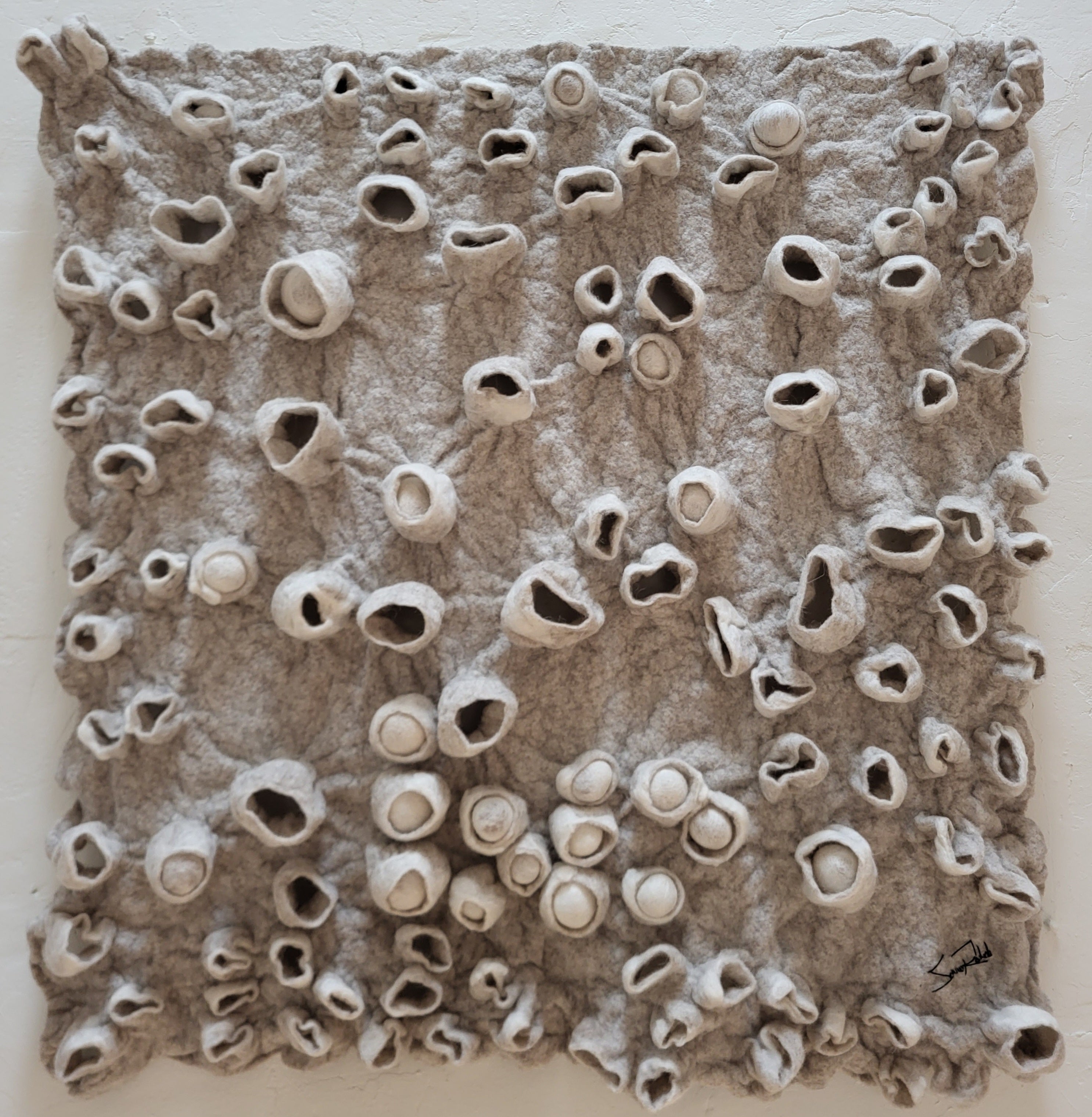 Love in the Sea (Barnacle Series) – The Prow Gallery